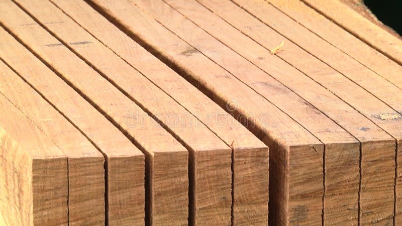 Cutting a Cut Tree Trunk into Boards Stock Video - Video of tree, steel ...