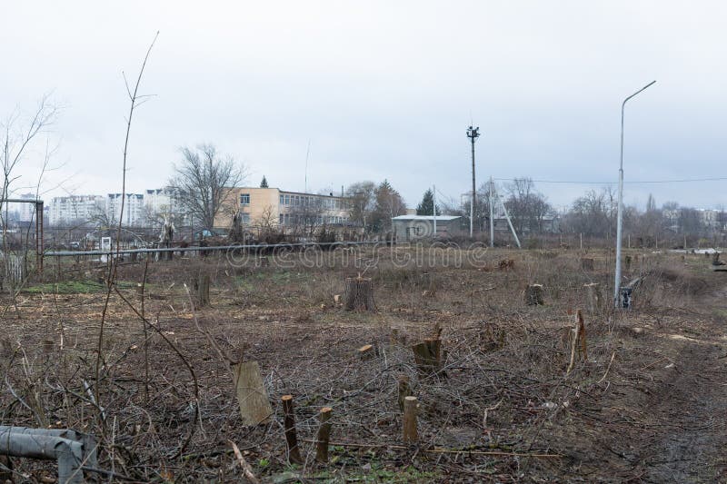 Biosphere Destruction Trees Stock Photos - Free & Royalty-Free Stock ...