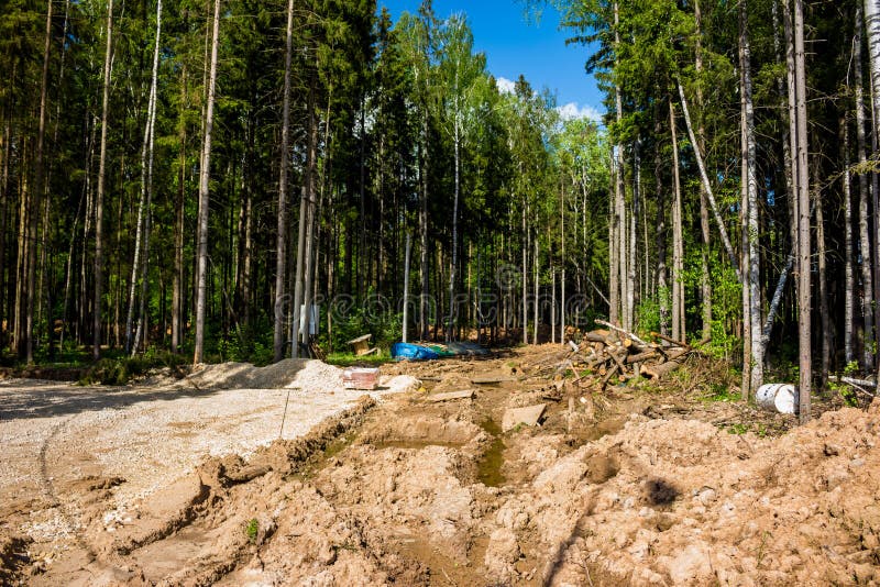 Cutting Down Trees in the Forest for a Clearing Stock Image - Image of ...