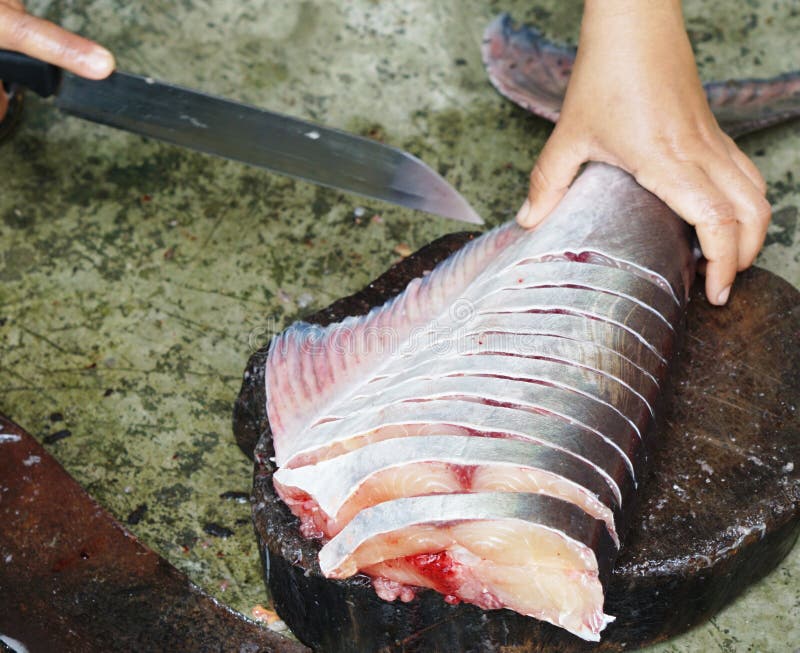 Cutting off fish s head stock photo. Image of food, fish - 960516
