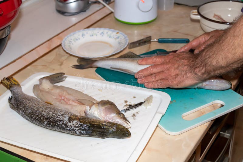 Cutting Fish in the Kitchen. Hands with a Knife Cut Up Fish on Cutting ...