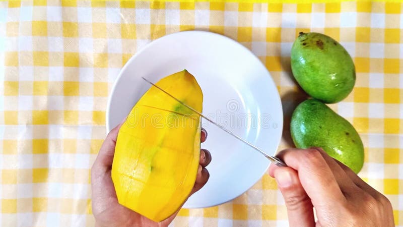 Cutting a Fresh Mango Using a Knife Stock Video - Video of colorful ...