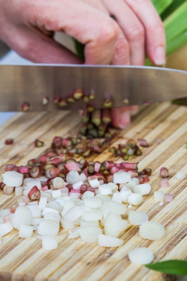 Cutting fresh ramps stock image. Image of locally, cutting - 40814403