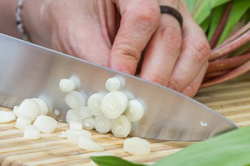 Cutting fresh ramps stock image. Image of local, kitchen - 40814407