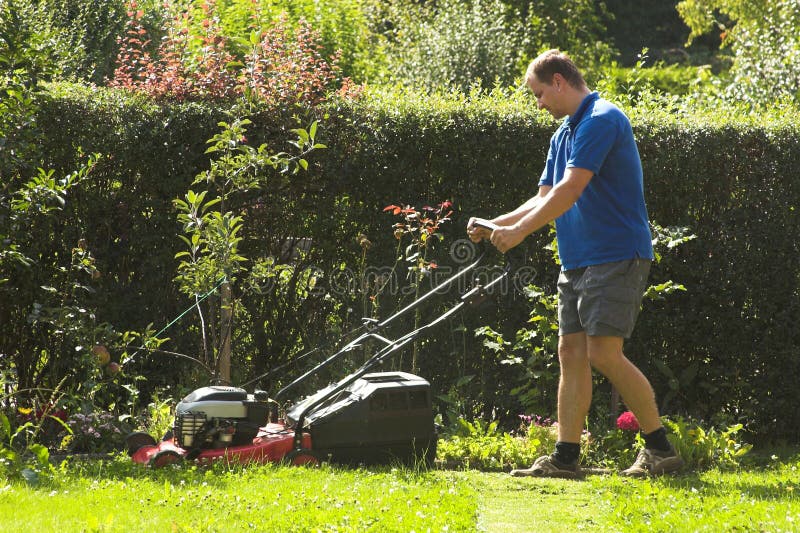Cutting grass stock image. Image of landscaped, line, electric - 5796991