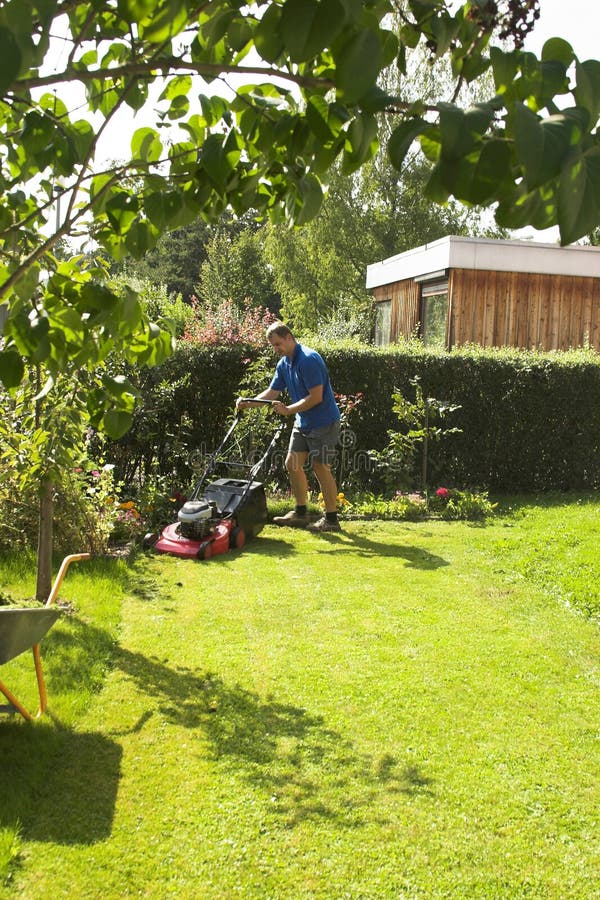 Cutting grass stock photo. Image of pruning, motor, plant - 3037148