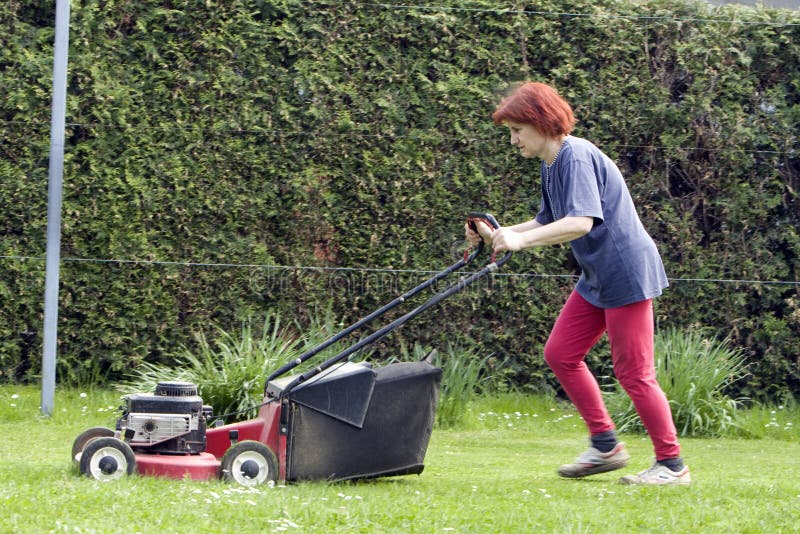 Cutting grass stock photo. Image of clipper, landscaped - 9268750