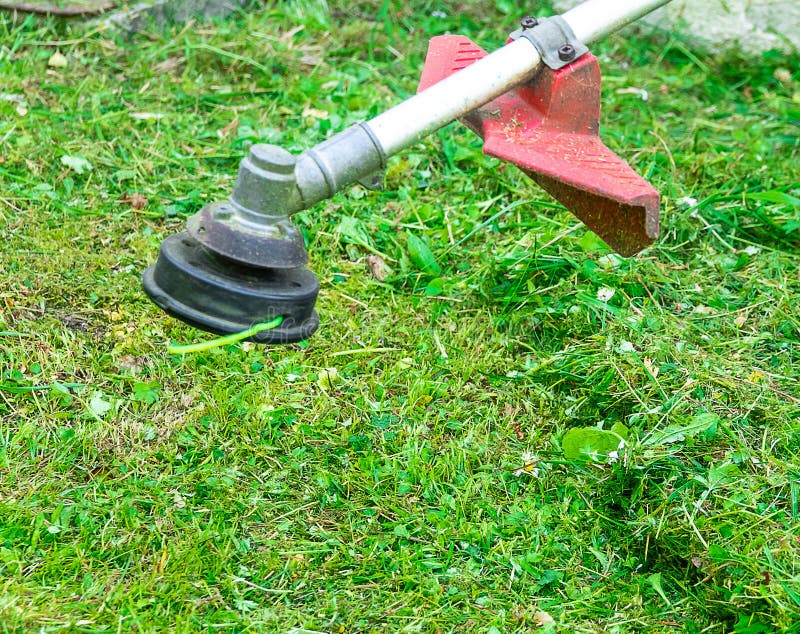 Cutting Grass in Garden with the Trimmer Stock Image - Image of care ...