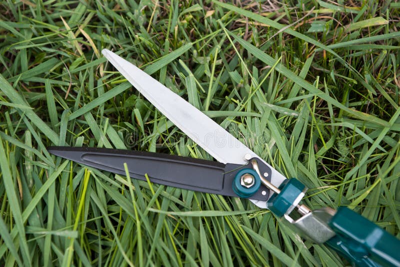 Cutting grass stock image. Image of growth, scissors - 53689583