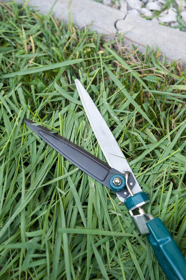 Cutting grass stock photo. Image of grass, worker, closeup - 53689570