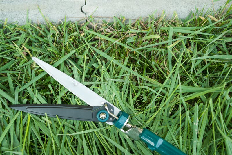 Cutting grass stock photo. Image of shears, mower, natural - 53689560