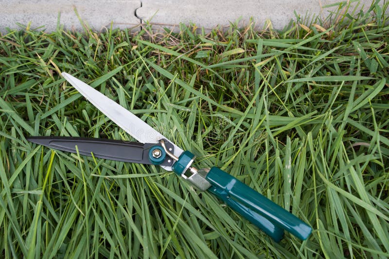 Cutting grass stock image. Image of mowing, background - 53689683