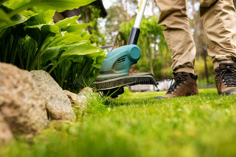 Cutting Grass with String Trimmer. Edging Lawn Stock Photo - Image of ...