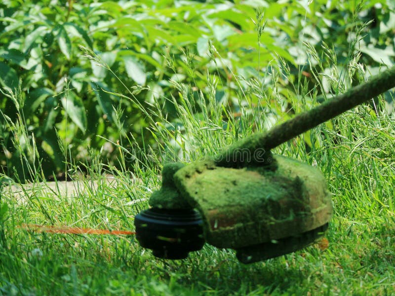 Cutting the Grass with a String Trimmer Stock Photo - Image of motor ...