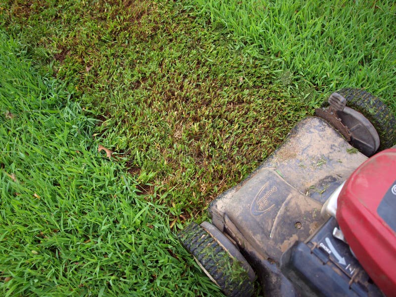 Cutting Grass Via Lawnmower Stock Image - Image of lawnmower, cutting ...
