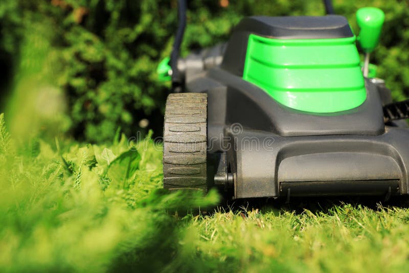 Cutting Green Grass with Lawn Mower in Garden, Closeup Stock Image ...
