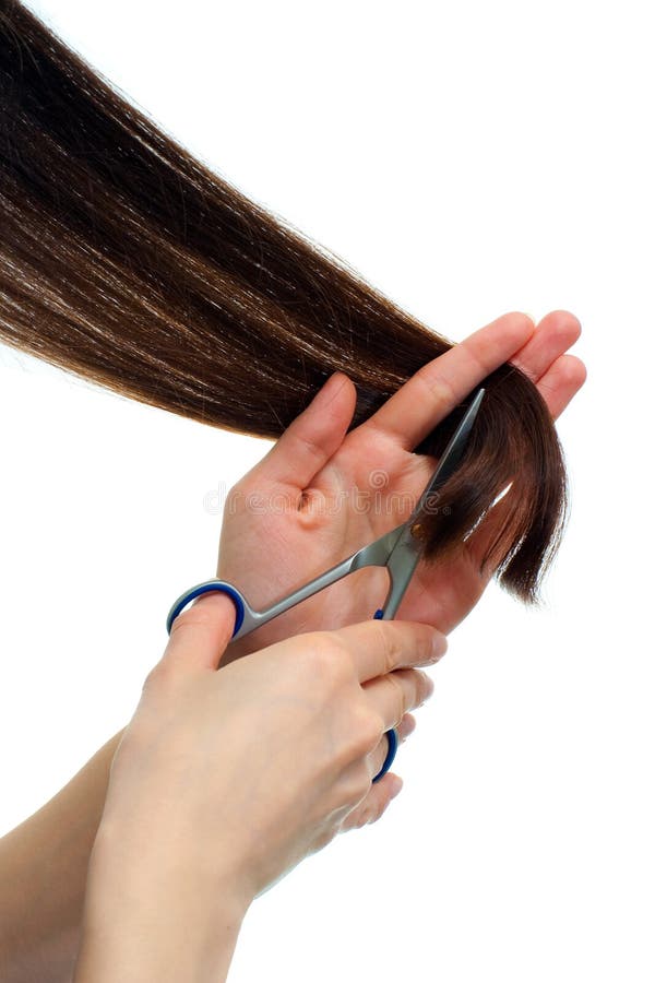 Cutting the hair stock image. Image of silken, healthy - 13305011