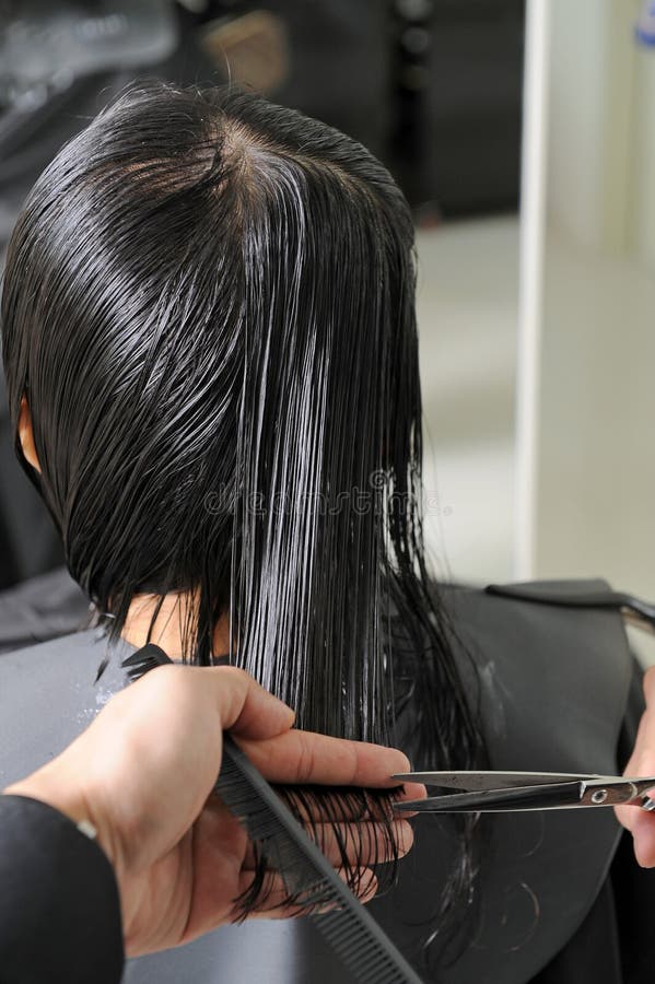 Cutting hair stock photo. Image of face, hairstylist - 25659976