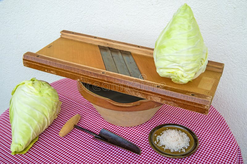 Cutting kale stock image. Image of kale, conservation - 35017225