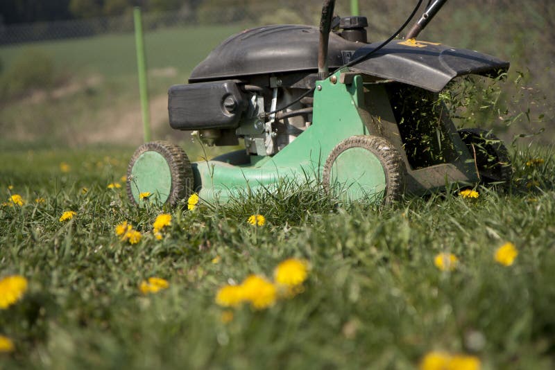 Cutting lawn stock photo. Image of flowers, lawn, cutting - 19286560