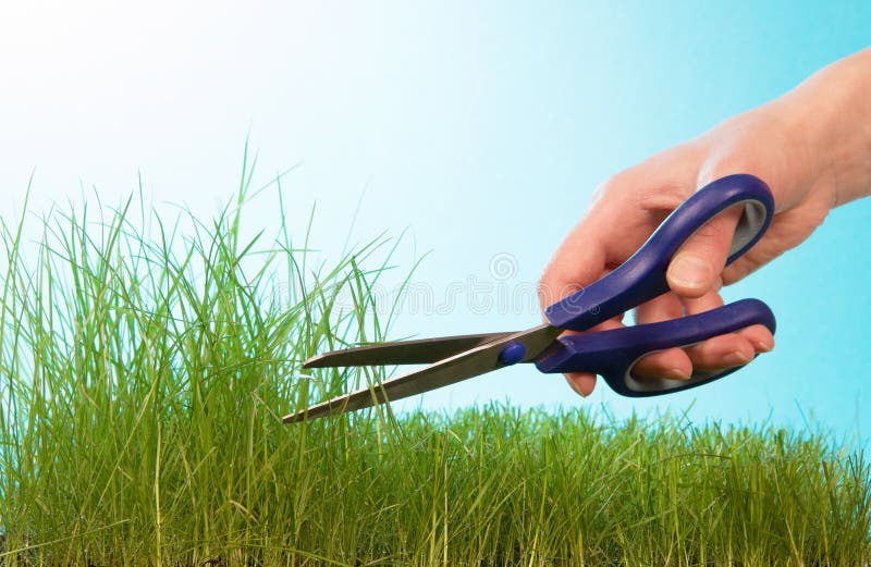 Cutting Lawn with Hand Shears Stock Photo - Image of freshness ...