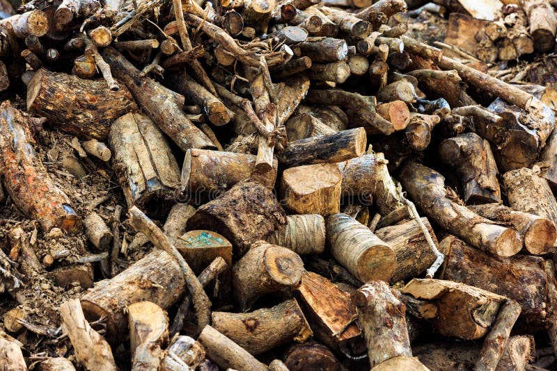 Cutting Log Use for Raw Material To Feed in Factory Stock Image - Image ...