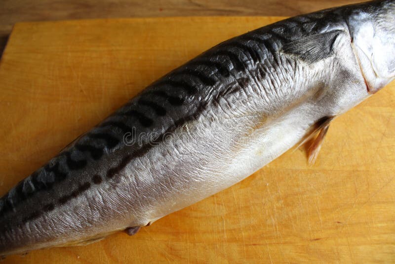 Cutting Mackerel Fish. Mackerel Fish Carcass Lying on a Butcher Board ...
