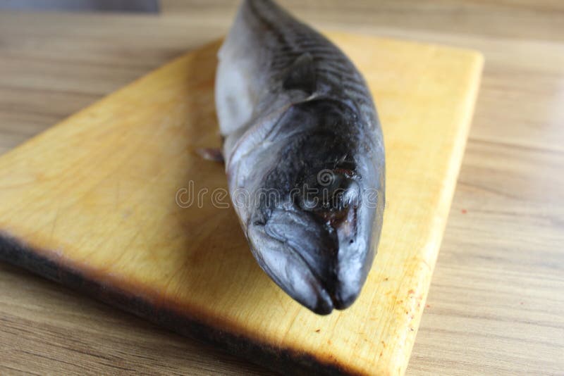 Cutting Mackerel Fish. Mackerel Fish Carcass Lying on a Butcher Board ...