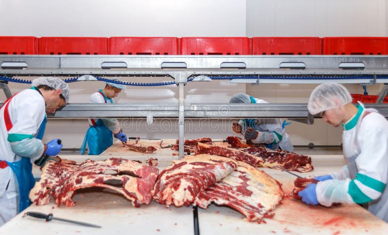 Workers at factory editorial stock photo. Image of manufacturing - 13700198