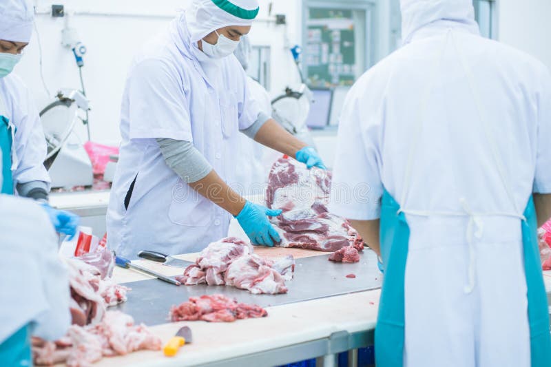 Cutting Meat Slaughterhouse Workers in the Factory Stock Image - Image ...