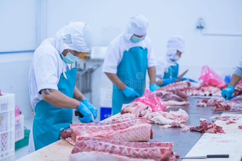 Cutting Meat Slaughterhouse Workers in the Factory Stock Photo - Image ...