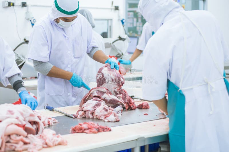 Cutting Meat Slaughterhouse Workers in the Factory Stock Photo - Image ...