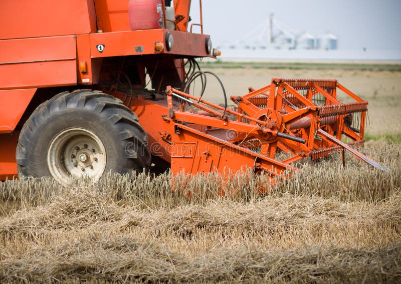 Cutting Mechanism in Red Harvester Stock Image - Image of stubble, food ...