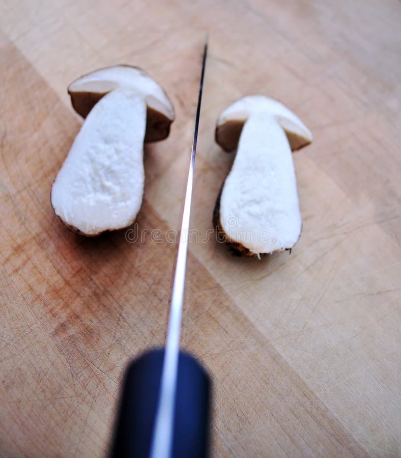 Cutting mushroom in half stock image. Image of food, flora - 11094363