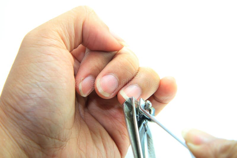 Cutting the nails stock photo. Image of cosmetics, clippers - 60155494