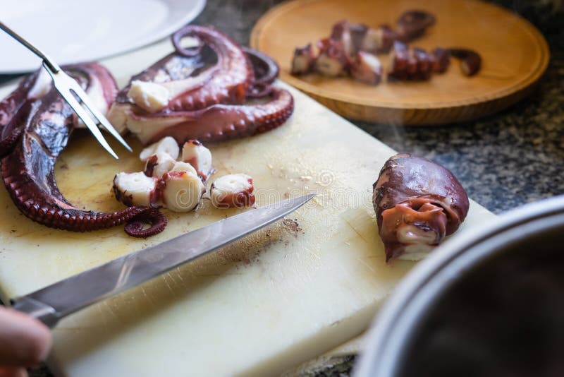 Octopus In The Kitchen Drain Stock Photo - Image of cups, life: 16343916