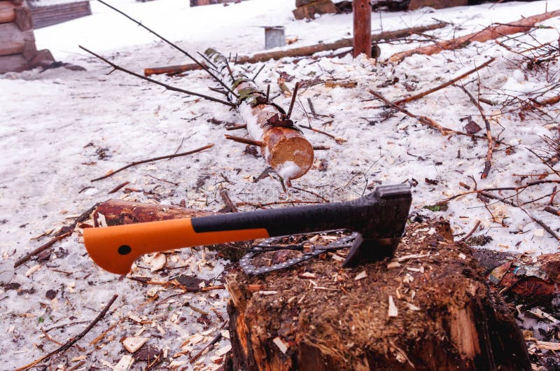 Cutting Off Branches and Firewood. Harvesting Firewood for the Winter ...