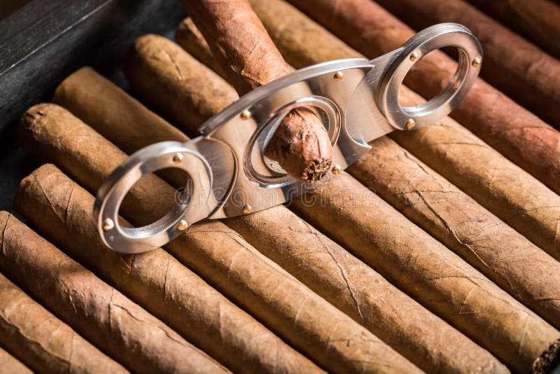 Cutting Off Cigar Tip on Cigars Pile Stock Photo - Image of relax ...