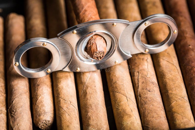 Cutting off cigar tip stock photo. Image of relaxation - 37096370