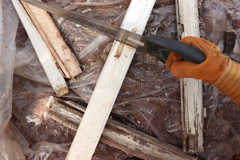 Cutting Old Painted Wood with Hand Saw Stock Photo - Image of sawdust ...