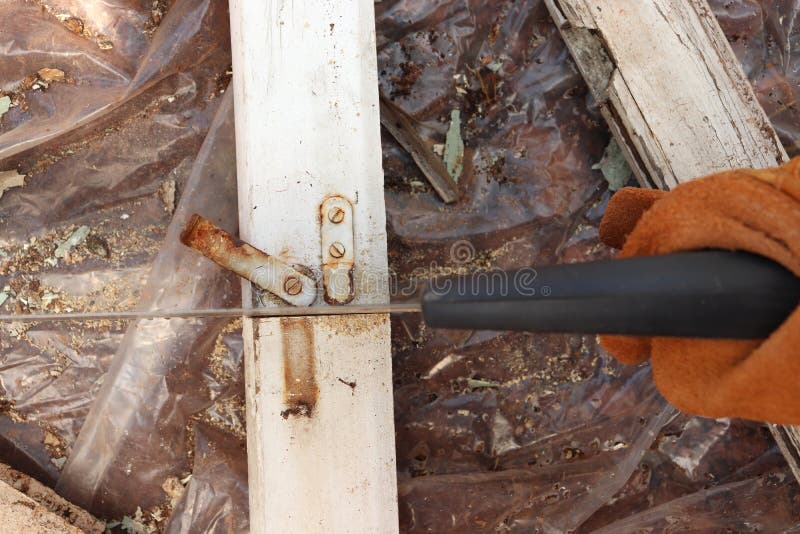 Cutting Old Painted Wood with Hand Saw Stock Photo - Image of carpentry ...