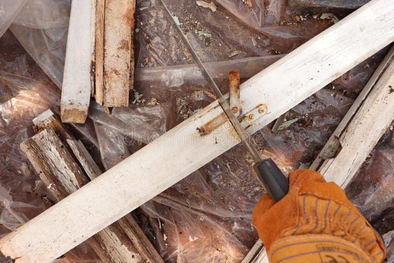 Cutting Painted Wood with Hand Saw into Pieces Stock Image - Image of ...