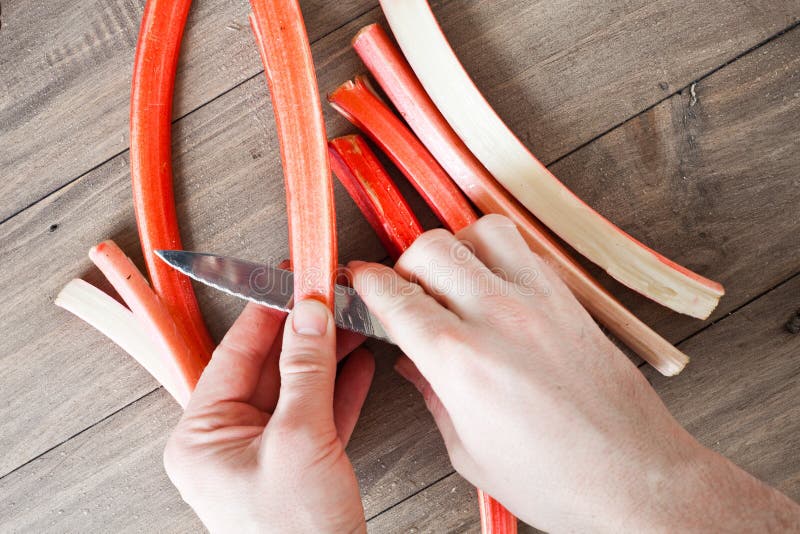 Cutting rhubarb stock image. Image of cutting, cook, rustic - 39518967
