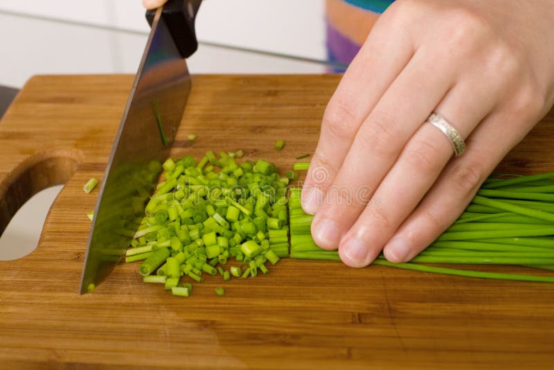 Scallion stock photo. Image of slice, chop, slate, ingredient - 17297498