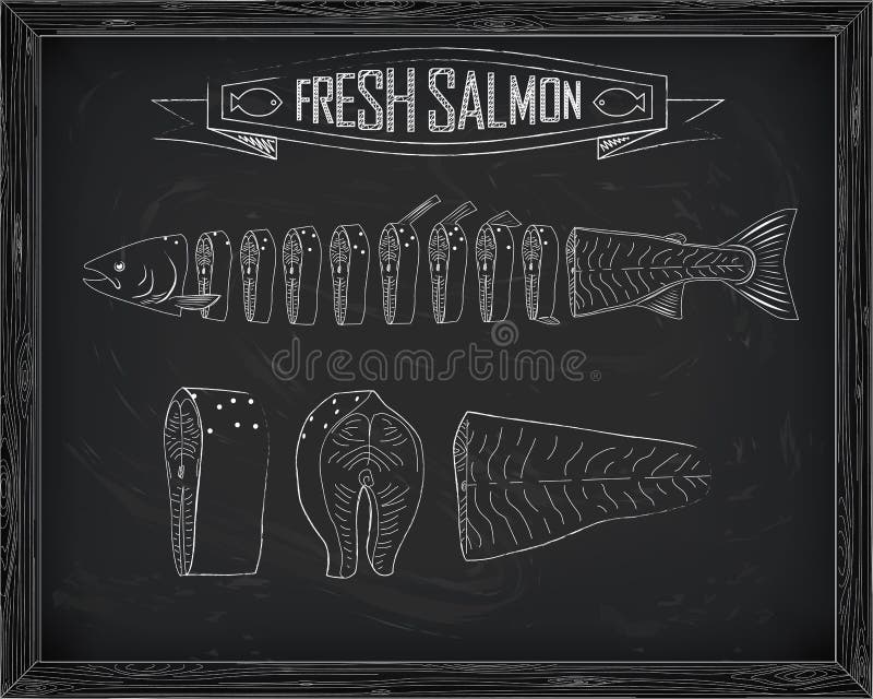 Cutting Scheme Fresh Salmon Stock Vector - Illustration of chalk ...