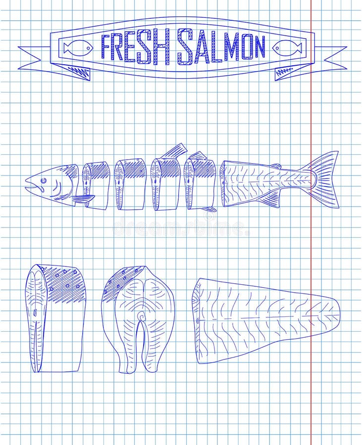 Cutting Scheme Fresh Salmon Stock Vector - Illustration of seafood ...