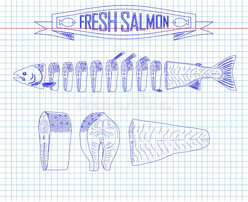 Cutting Scheme Fresh Salmon Stock Vector - Illustration of gourmet ...