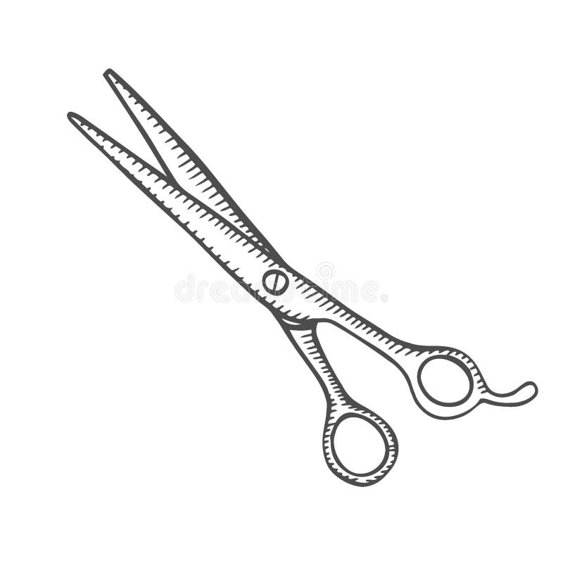 Hair Cutting Scissors Drawing