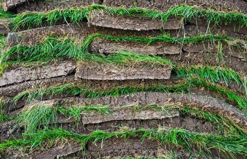 Cutting Soil with Lawn Grass in Layers Stock Image - Image of grass ...