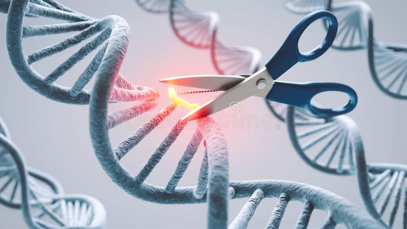 Cutting Specific Genes on a 3D DNA Model Stock Illustration ...